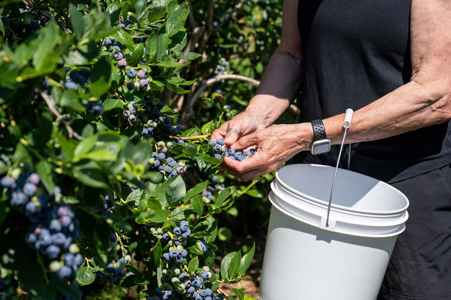 Bucket Strategy Retirement Plan for Federal Employees: A Step-by-Step ...